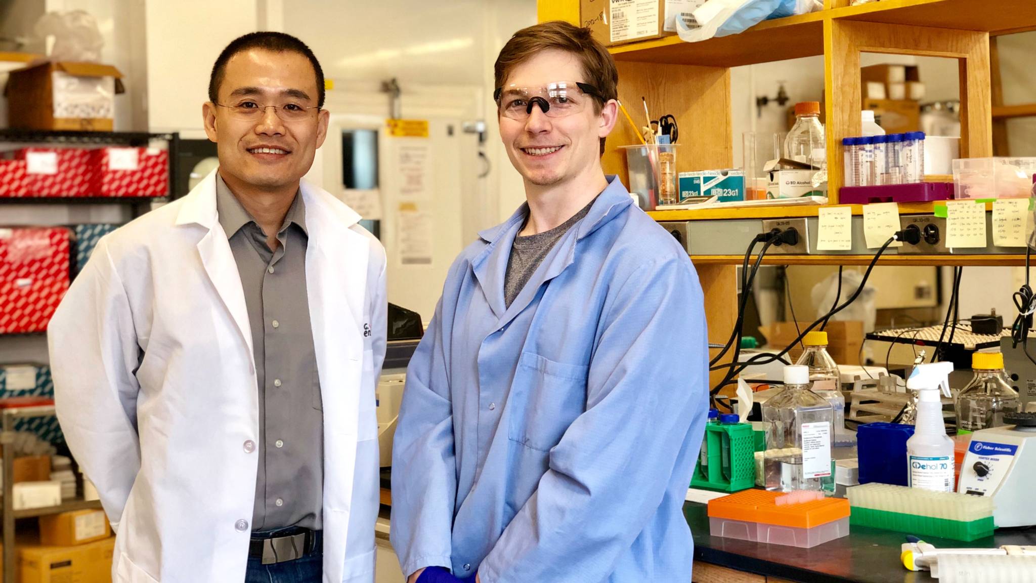 Princeton scientists discover an interaction that helps cancers spread ...
